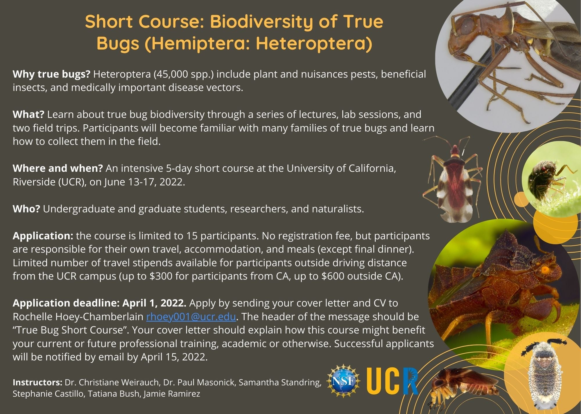 Heteropteran Systematics Lab | Department of Entomology